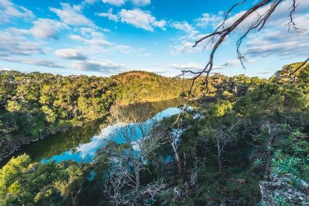 The Ancient Aboriginal Engineering of the Budj Bim Eel Traps ...