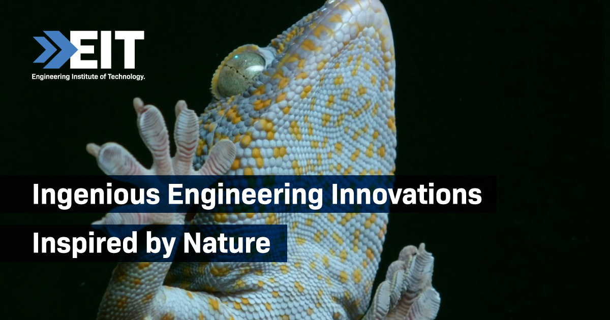 5 Ingenious Engineering Innovations Inspired by Nature :Engineering ...